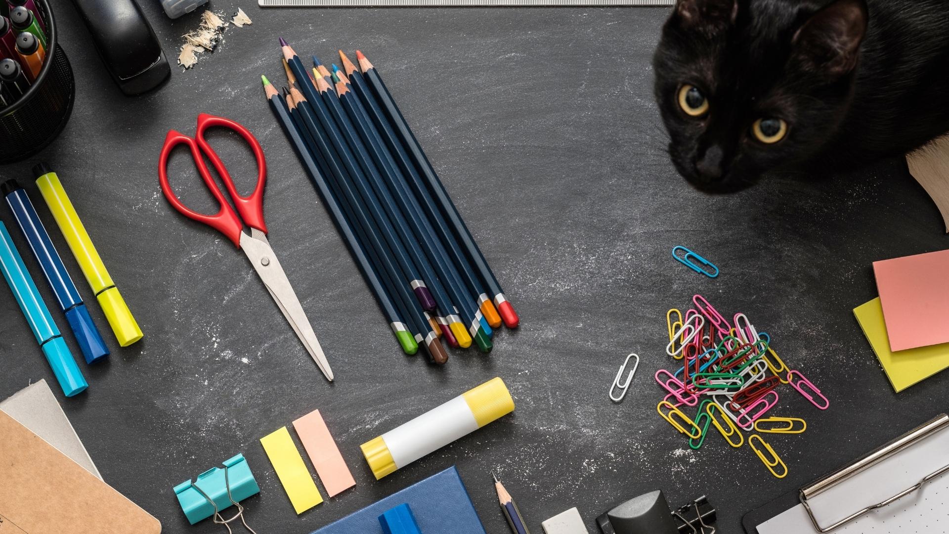 Virtual Classroom Background For Zoom ⋆ Study Abroad Guide