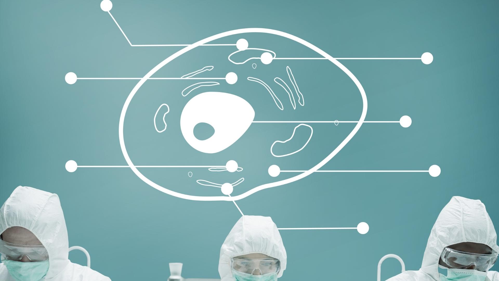 Virtual Classroom Background For Zoom ⋆ Study Abroad Guide